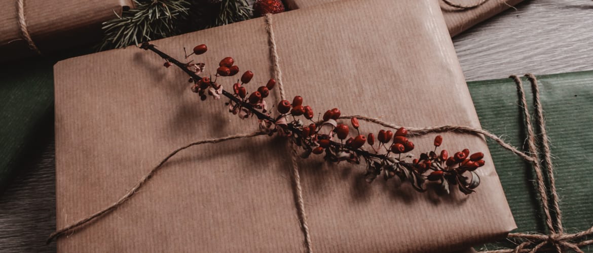 A Surprising Christmas Gift by Virginia Robin - Holistic Bliss Magazine